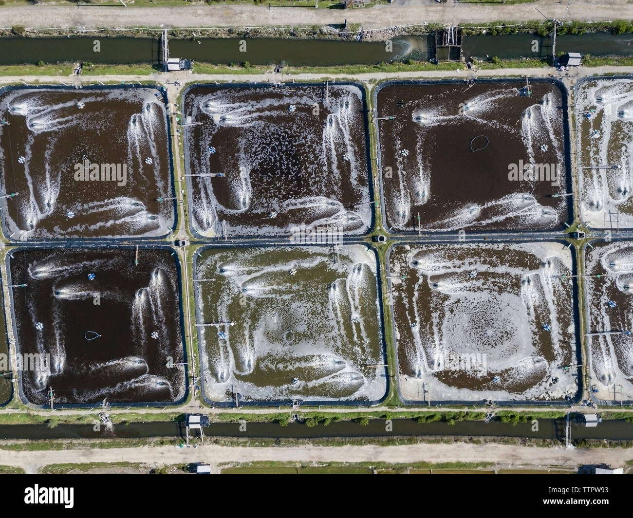 Aerial view of shrimp farm Stock Photo - Alamy
