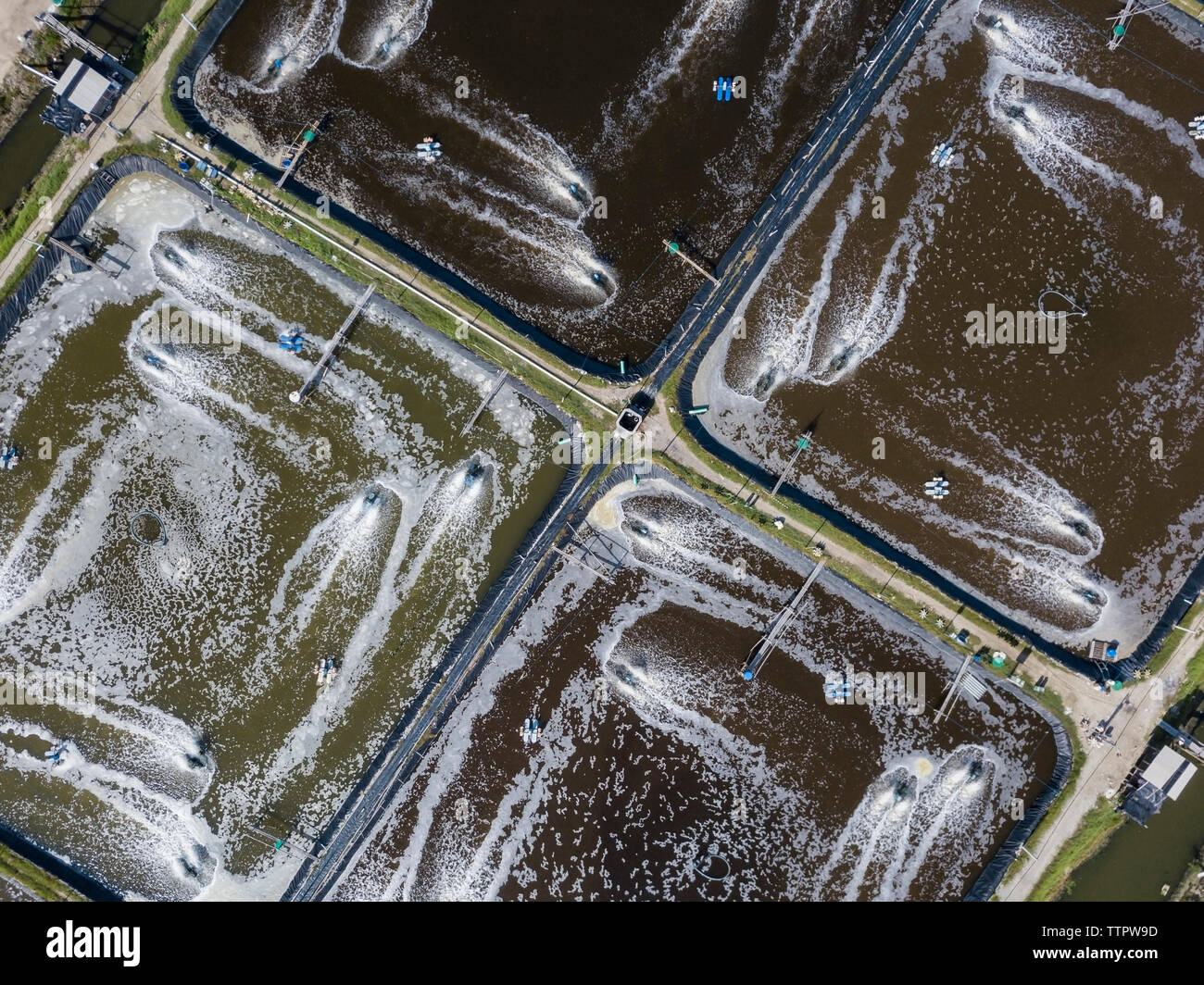 Aerial view of shrimp farm Stock Photo - Alamy