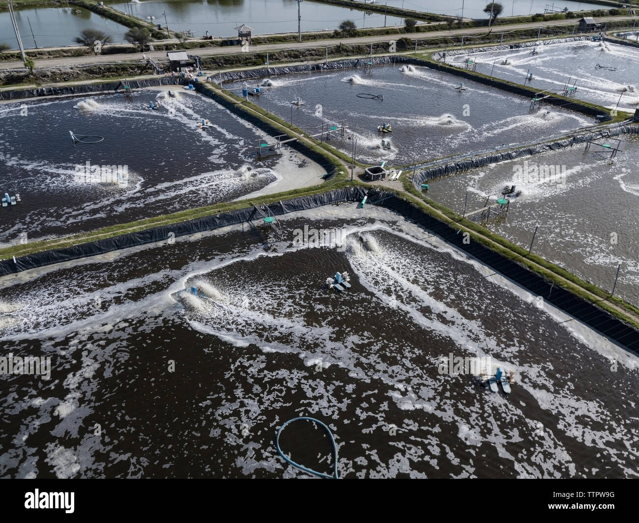 Aerial view of shrimp farm Stock Photo - Alamy