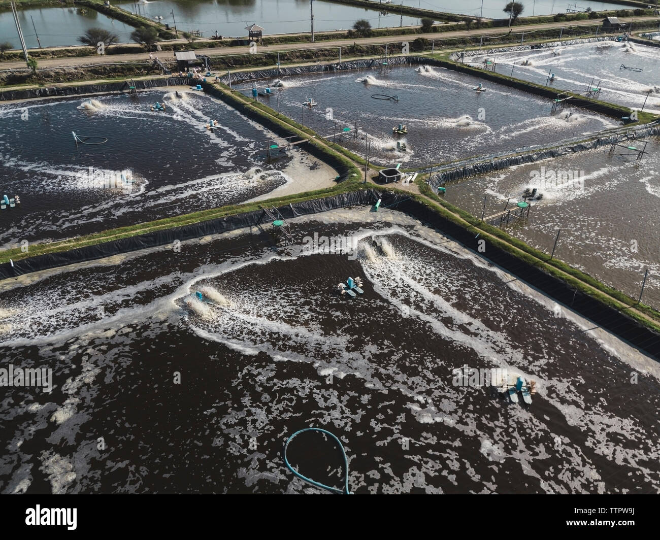 Shrimp farming indonesia aerial hi-res stock photography and images - Alamy
