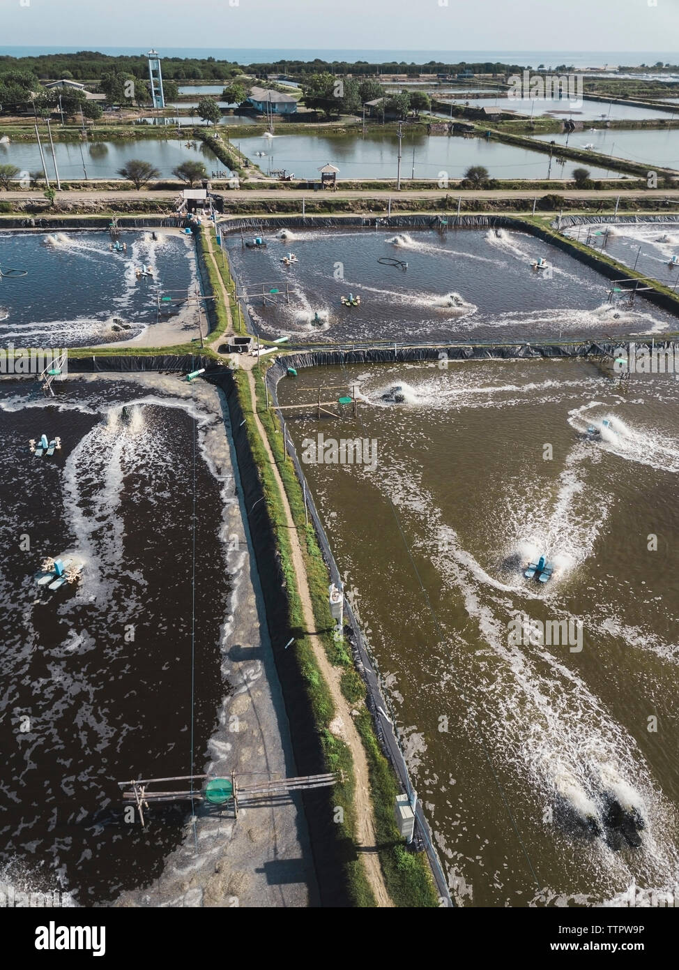 Aerial view of shrimp farm Stock Photo - Alamy