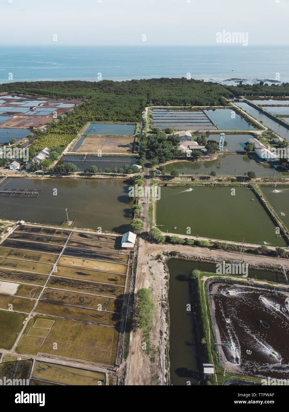 Shrimp farming hi-res stock photography and images - Alamy