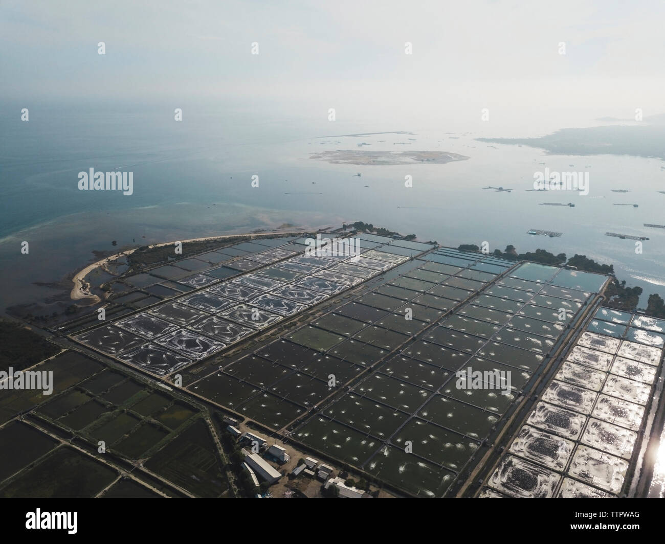 Shrimp farm for breeding of shrimp hi-res stock photography and images ...