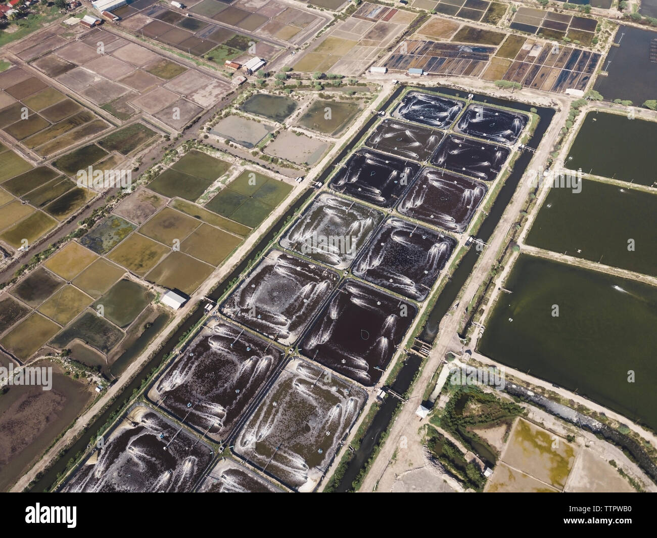 Aerial view of shrimp farm Stock Photo - Alamy
