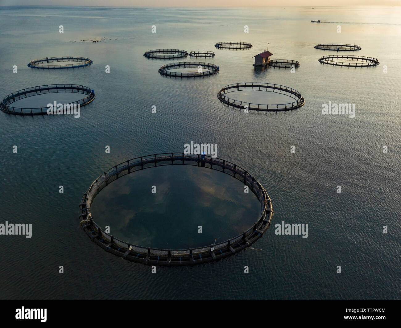 Aerial view of fishing farm enclosures Stock Photo - Alamy