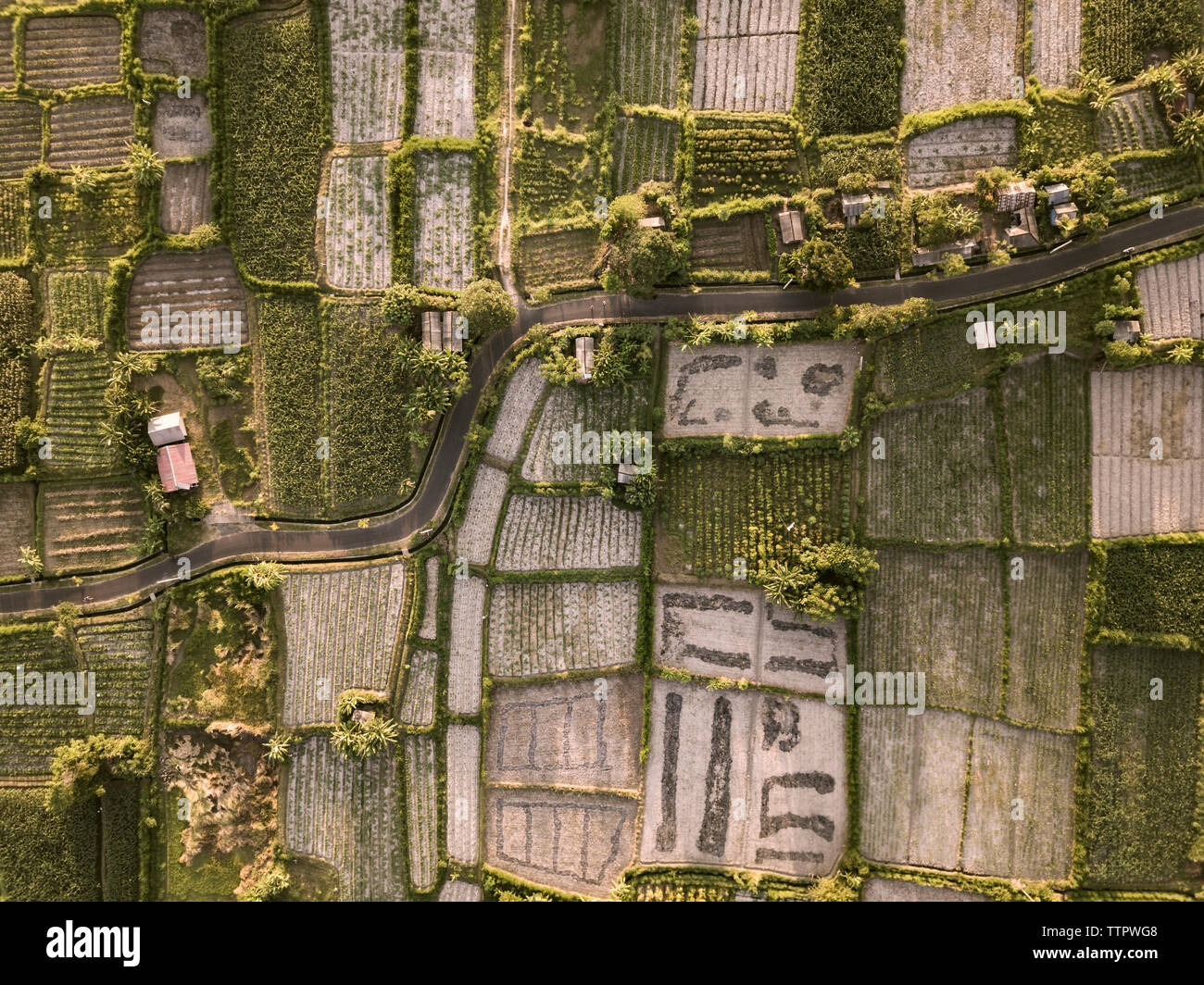 Aerial view of the agricultural fields near the road Stock Photo - Alamy