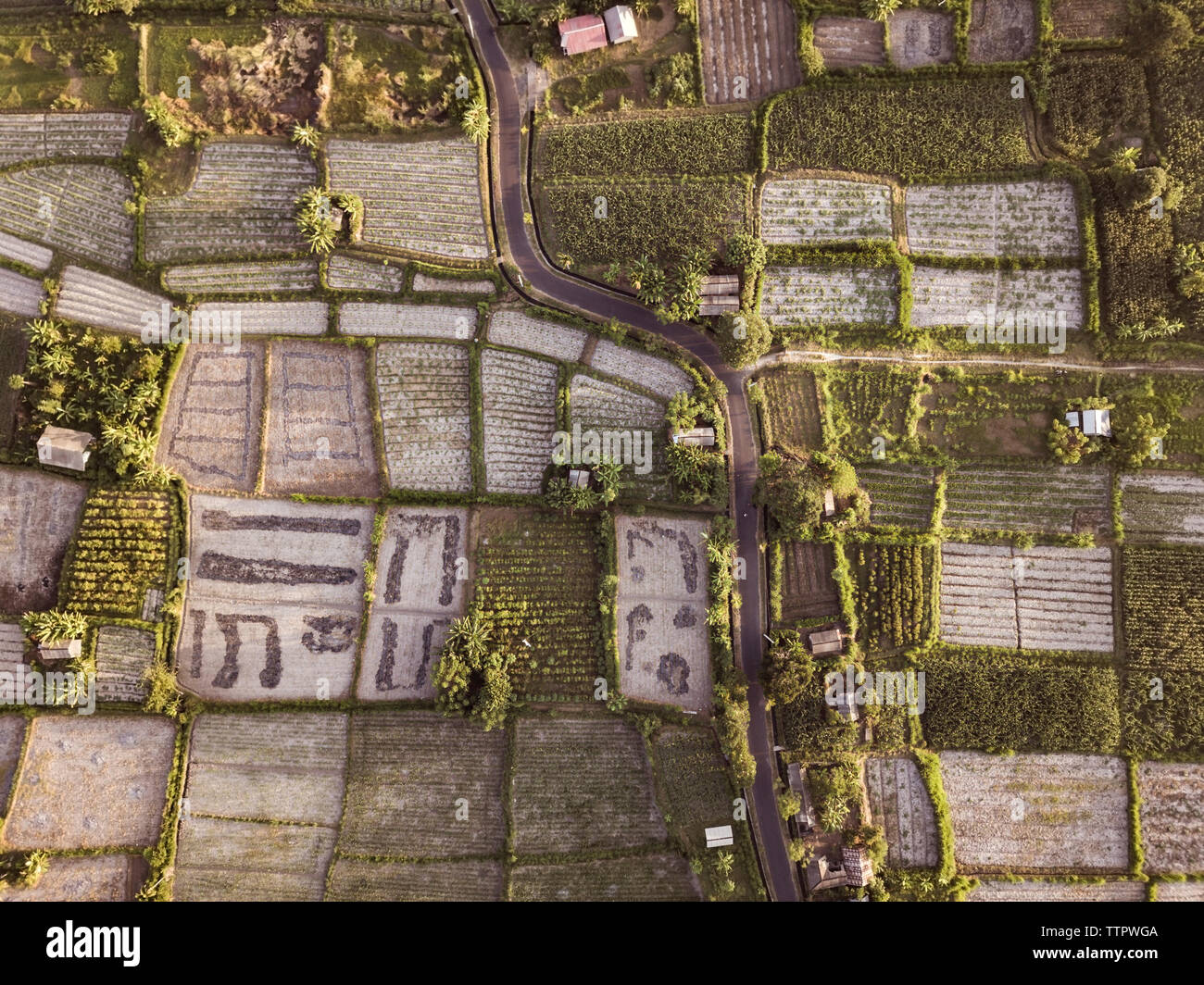 Aerial view of the agricultural fields near the road Stock Photo - Alamy