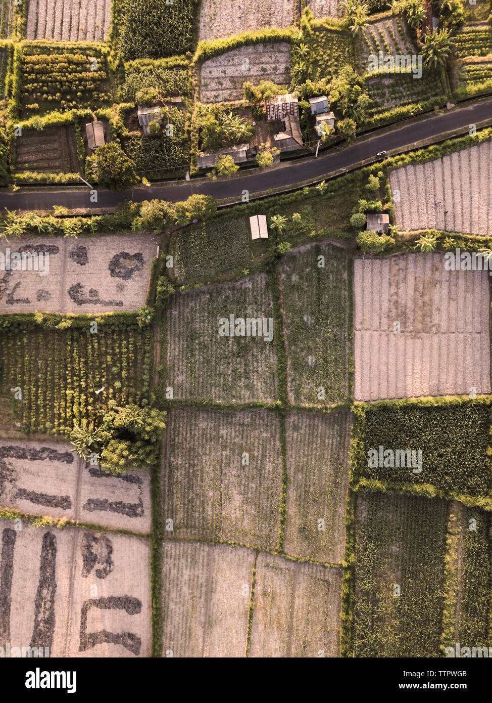 Aerial view of the agricultural fields near the road Stock Photo - Alamy
