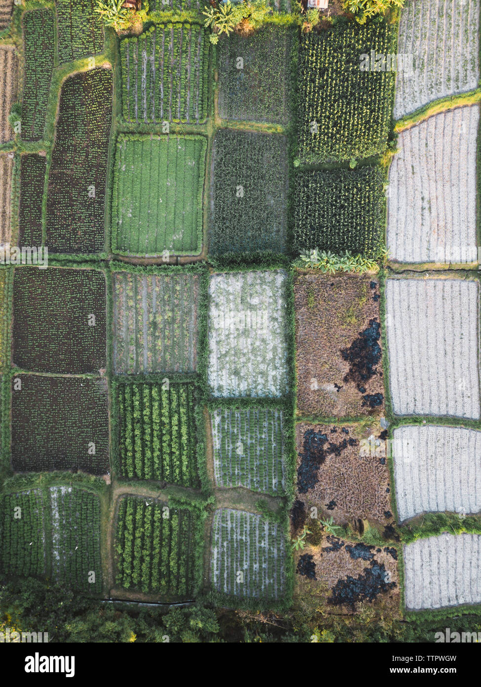 Aerial view of farm Stock Photo - Alamy