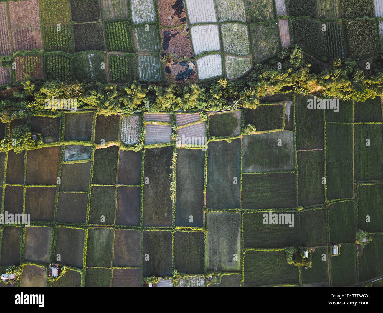 Aerial view of farm Stock Photo - Alamy