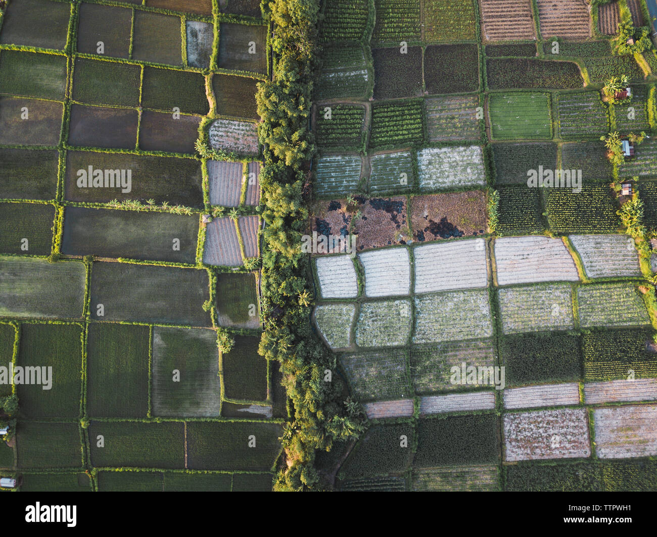 Aerial view of farm Stock Photo - Alamy
