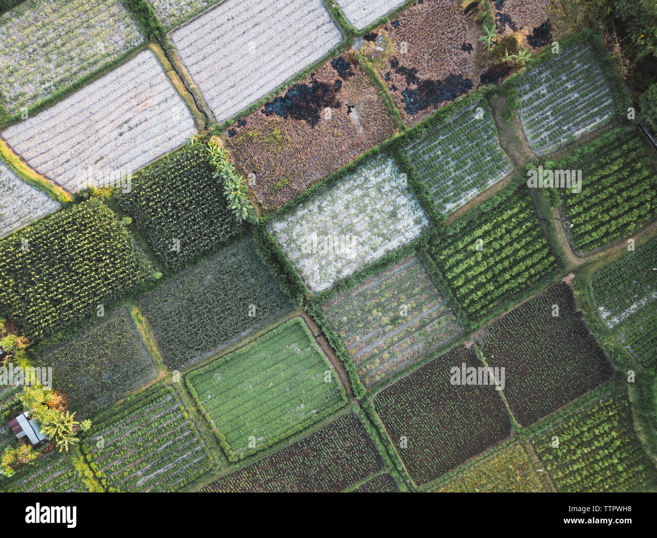 Aerial view of farm Stock Photo - Alamy