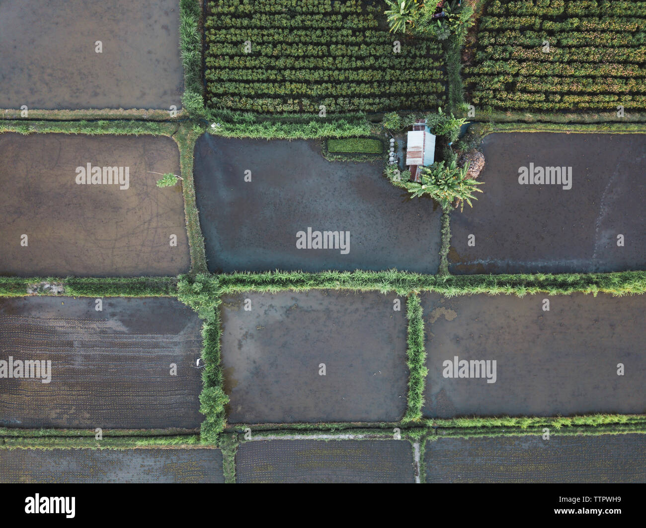Aerial view of farm Stock Photo - Alamy