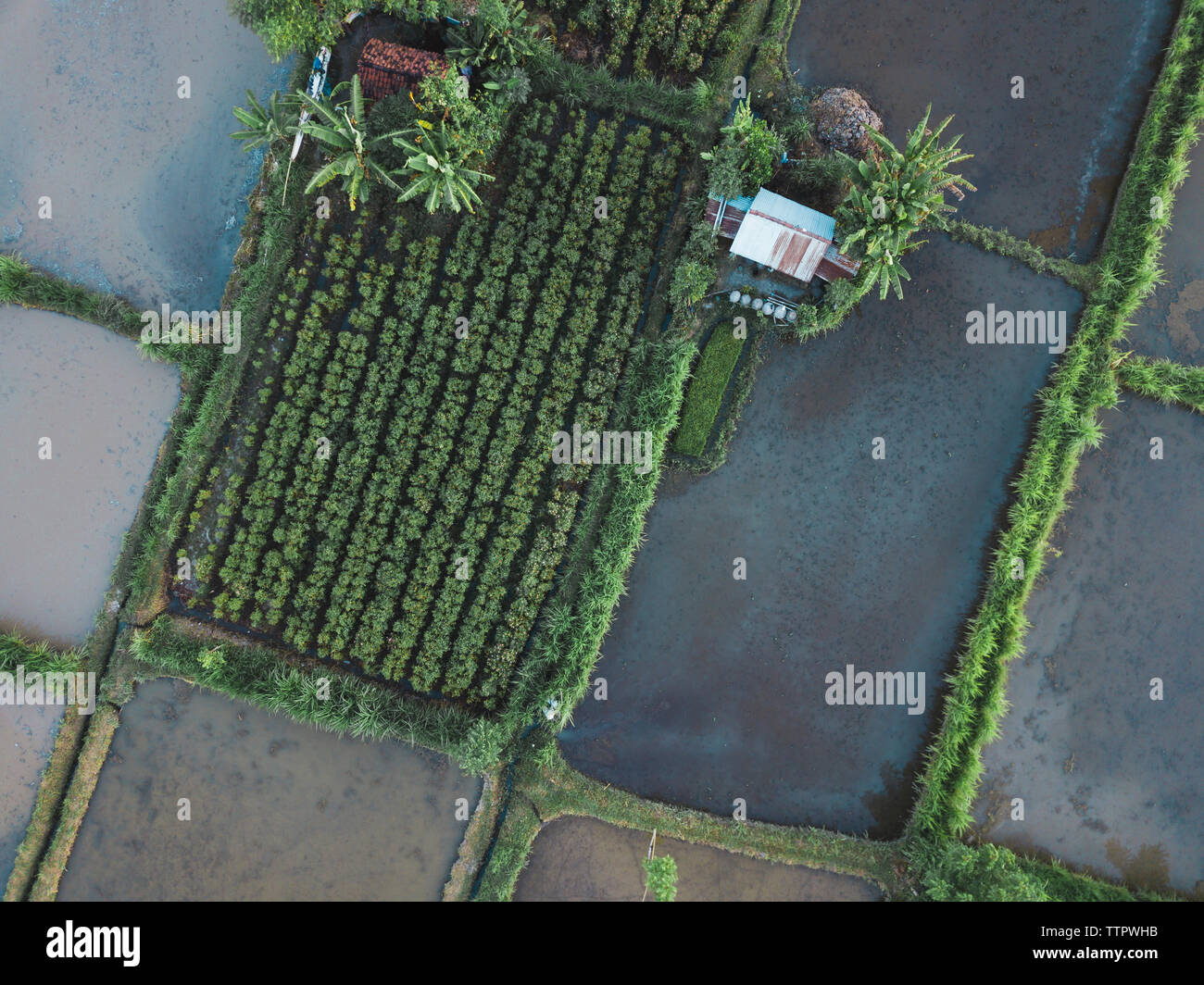 Aerial view of farm Stock Photo - Alamy