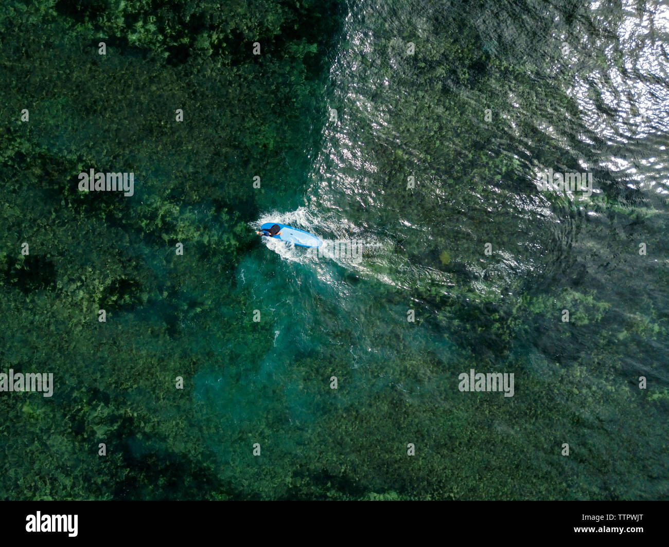 Birds eye view man paddling hi-res stock photography and images - Alamy
