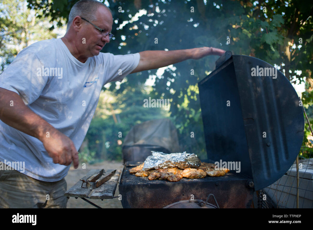 Chicken of the forest hi-res stock photography and images - Alamy