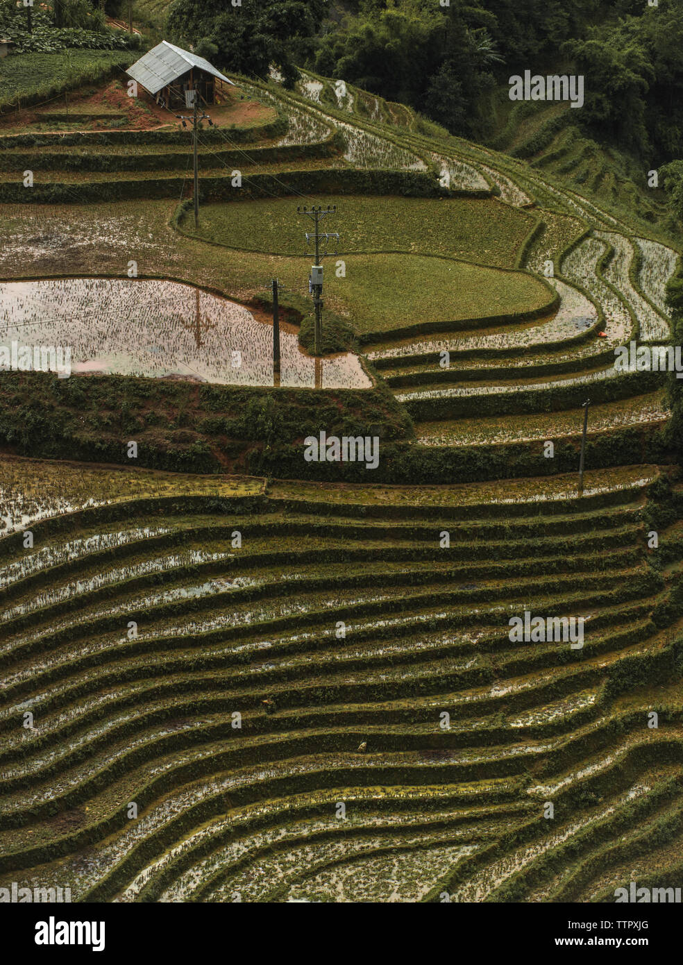 Vietnam farm house hi-res stock photography and images - Alamy