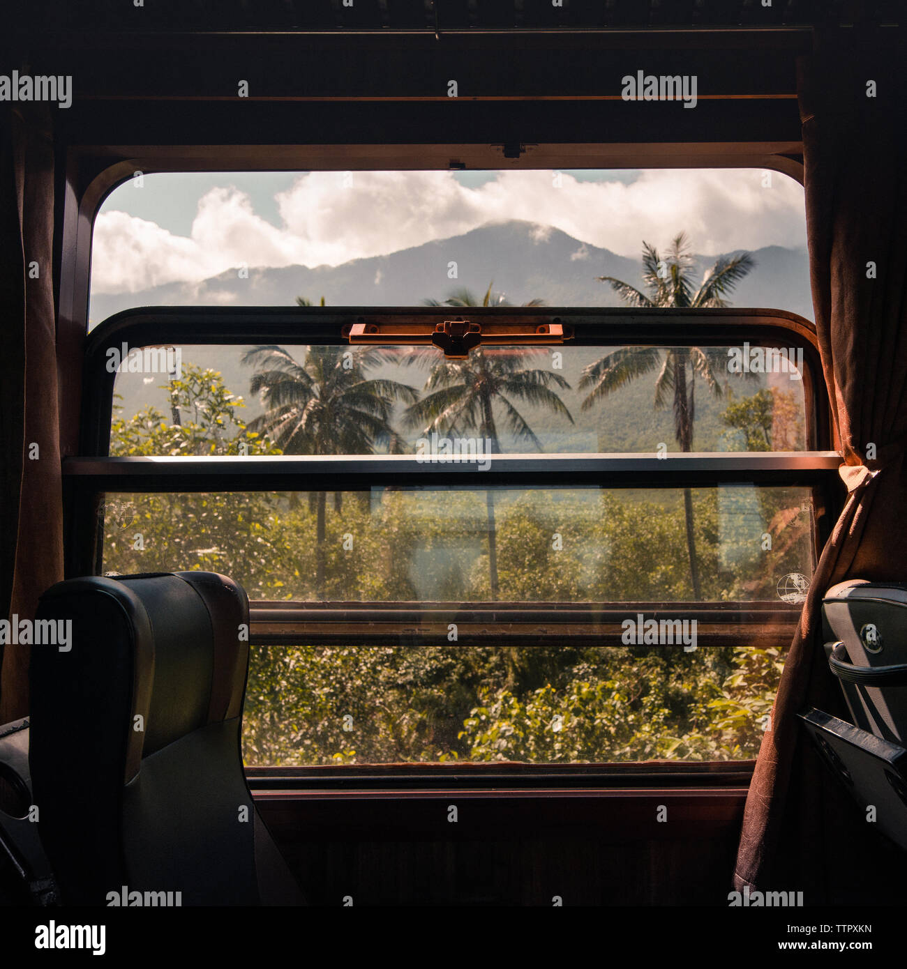 Palm Trees Outside Train Window Stock Photo - Alamy