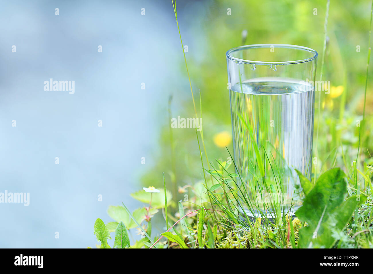 Glass of water on blurred river background Stock Photo - Alamy