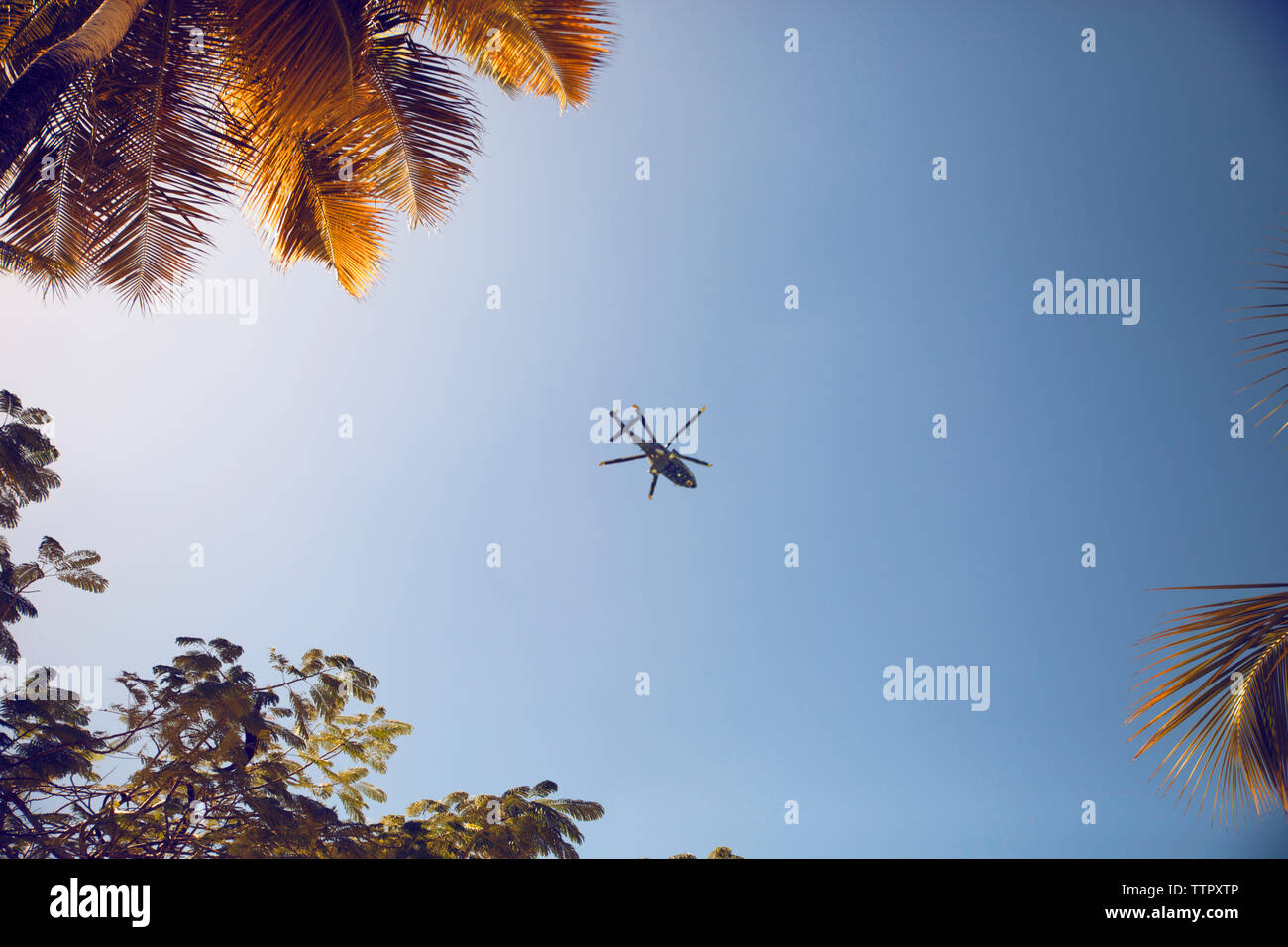 Tree helicopter hi-res stock photography and images - Alamy