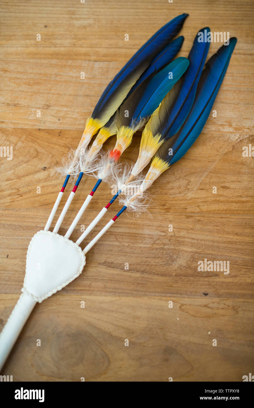 Feathers used for ritual of cacao ceremony Stock Photo - Alamy