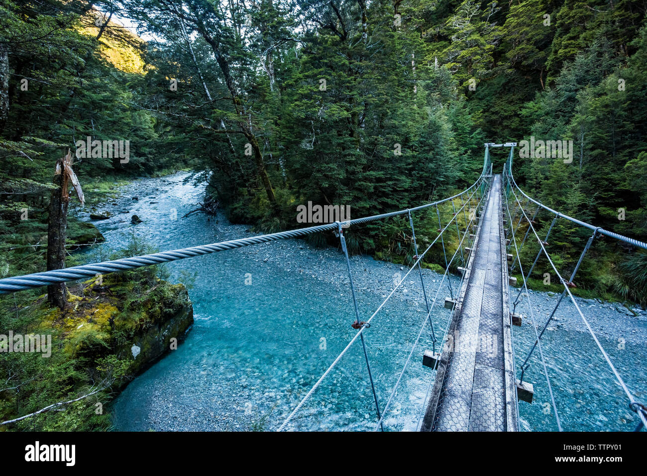 Swing bridge over river in the forest in New Zealand Stock Photo - Alamy