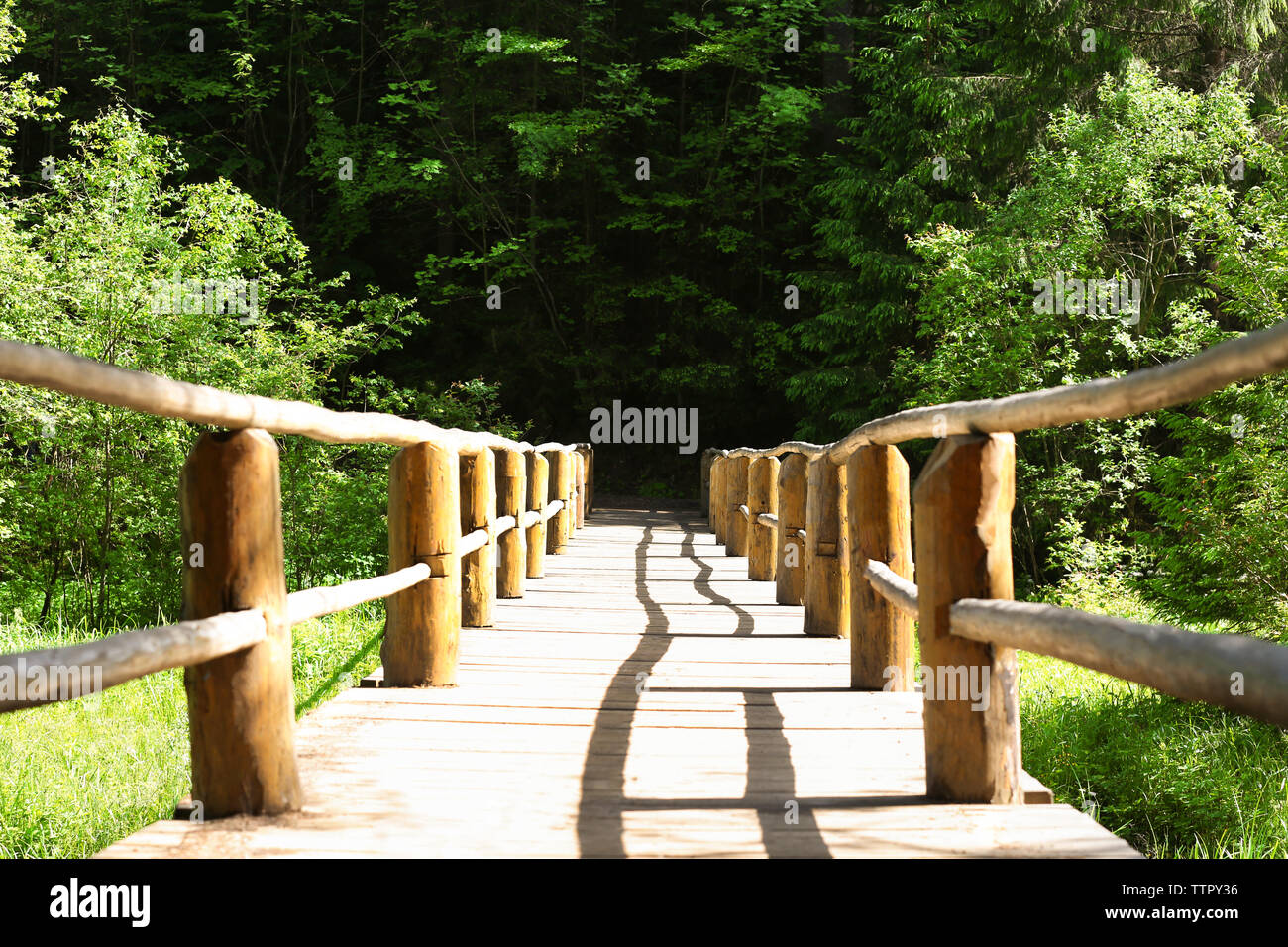 Wooden bridge in the forest Stock Photo - Alamy
