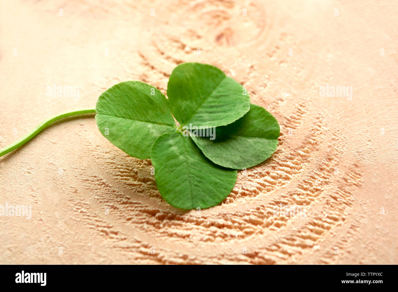 Green four-leaf clover on wooden background Stock Photo - Alamy