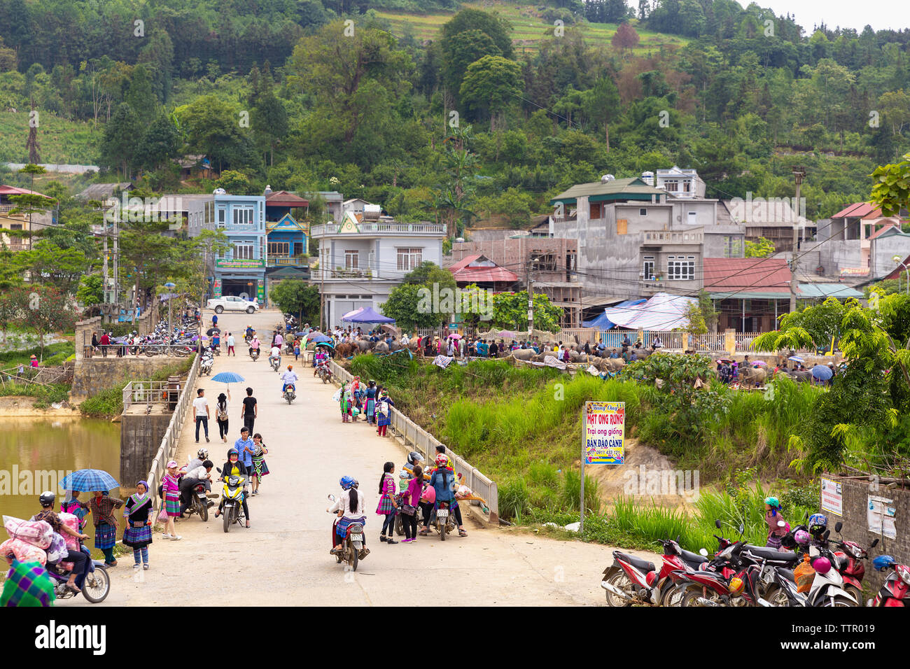 Overview of crowded Bac Ha Sunday Market, Bac Ha, Lao Cai Province ...