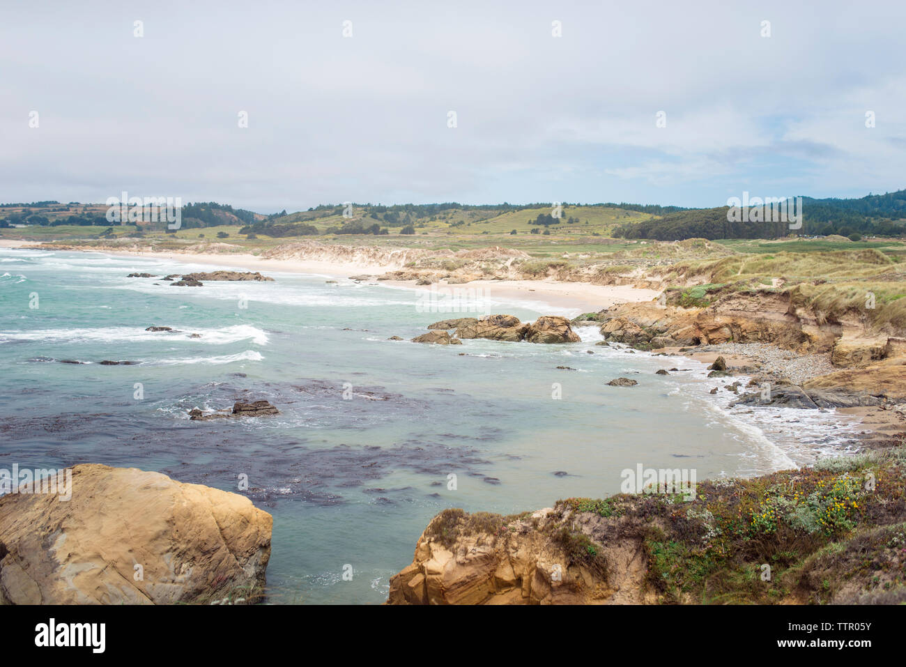 Scenic view of sea against sky at A o Nuevo State Park Stock Photo - Alamy