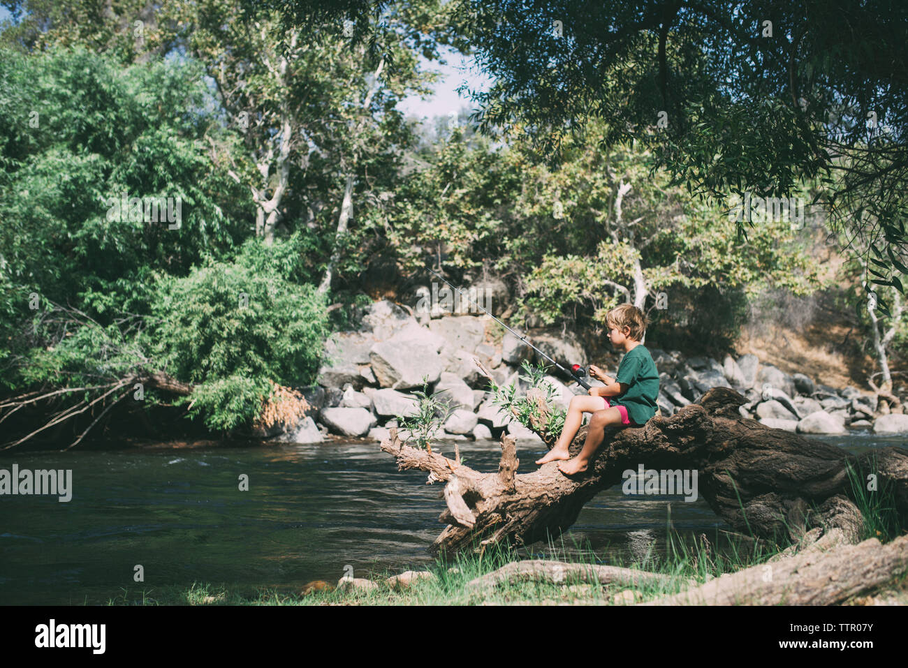 Side view of boy fishing while sitting on fallen tree at lakeshore ...
