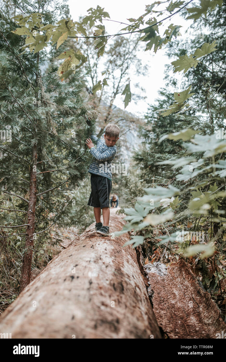Two boys playing forest hi-res stock photography and images - Alamy