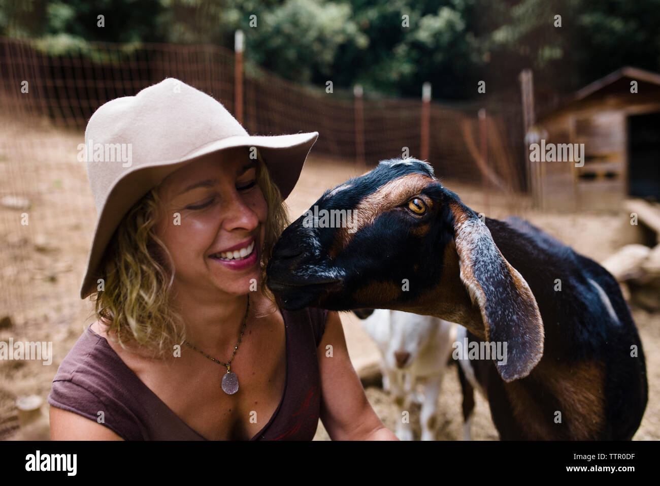 Woman and goat hi-res stock photography and images - Alamy