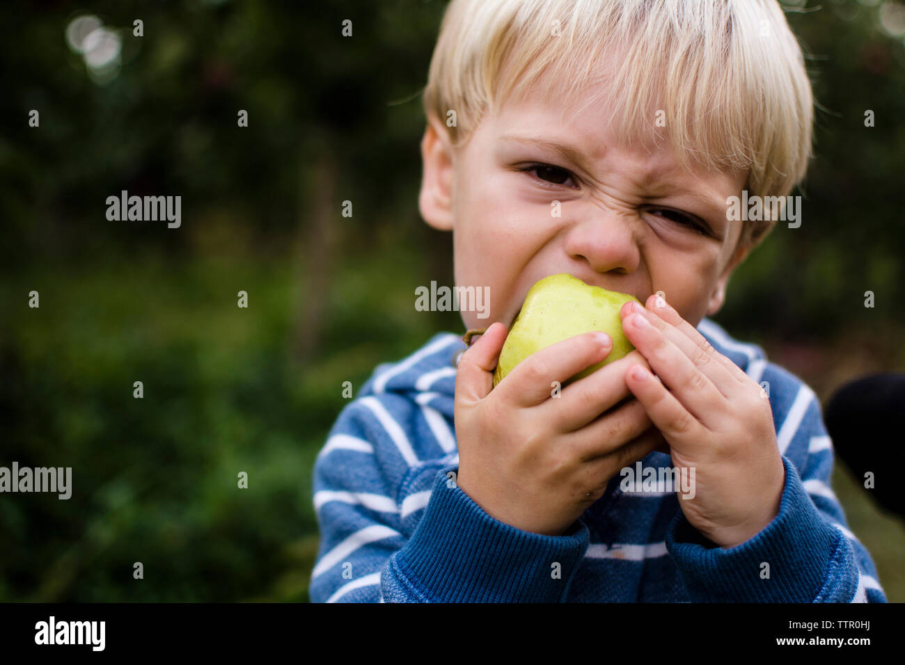 Boy with apple hi-res stock photography and images - Alamy