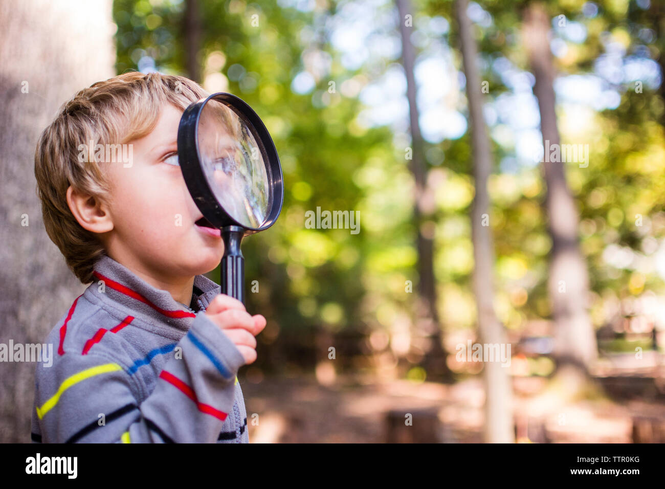 Playful boy looking through magnifying glass in forest Stock Photo - Alamy