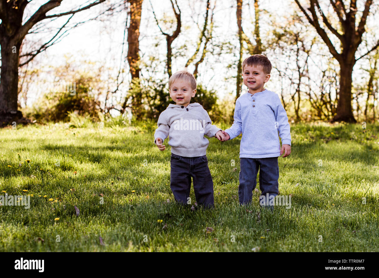 Portrait of cute happy brothers holding hands while standing on grassy ...