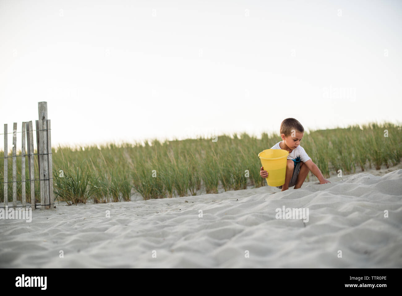 Bucket digging hi-res stock photography and images - Alamy
