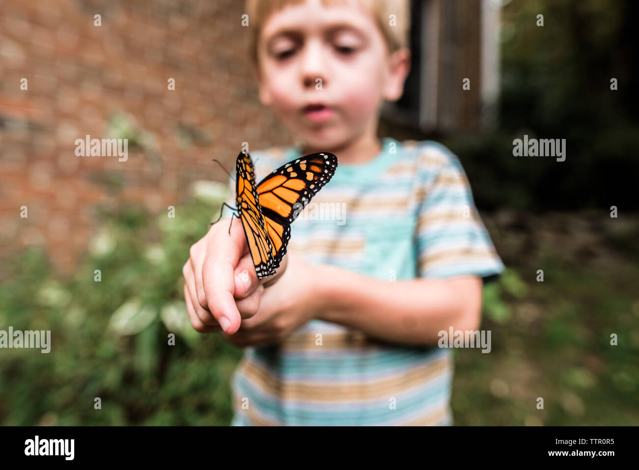 Butterfly boy monarch hi-res stock photography and images - Alamy