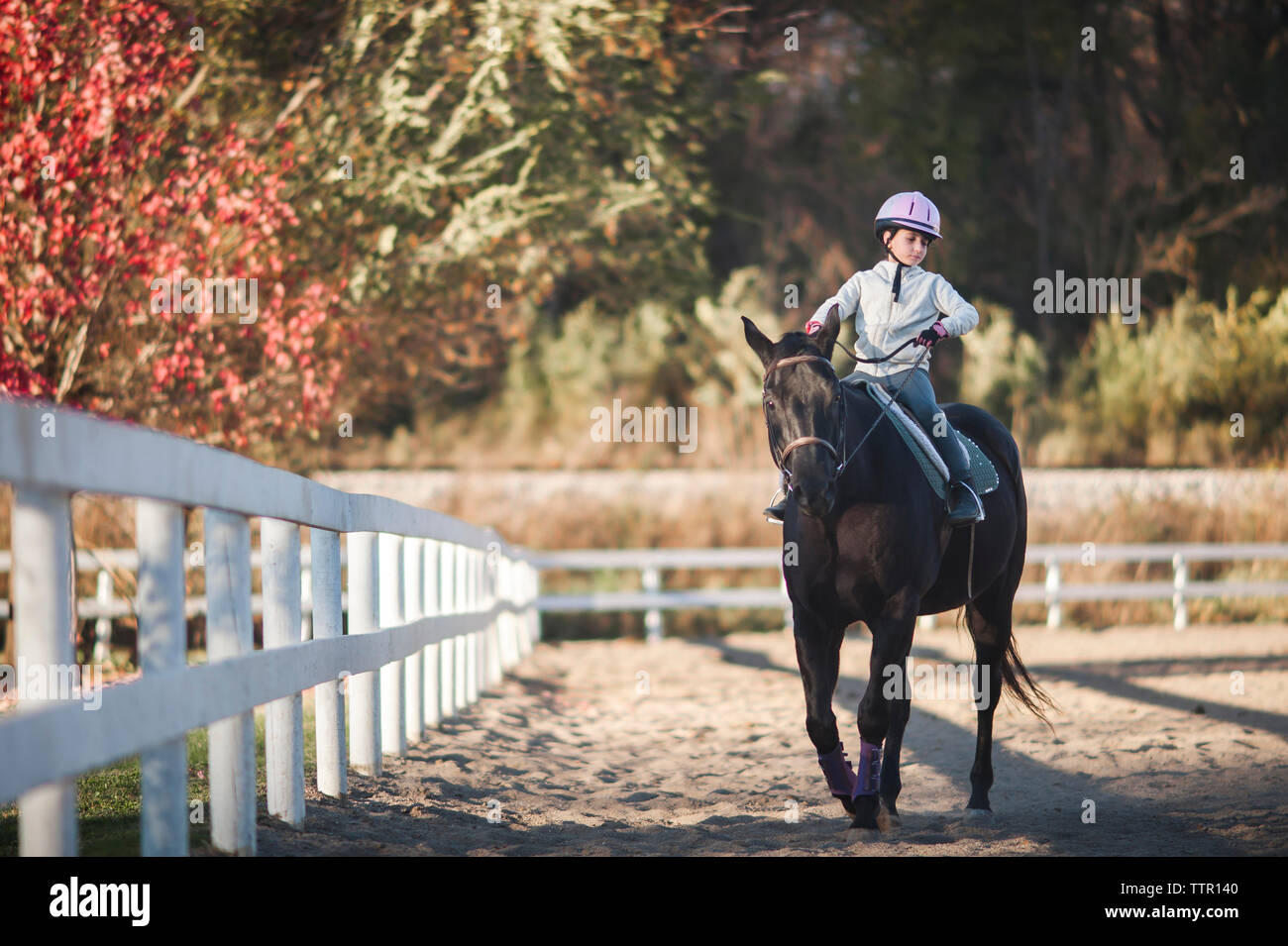 Girl horseback riding in ranch Stock Photo - Alamy