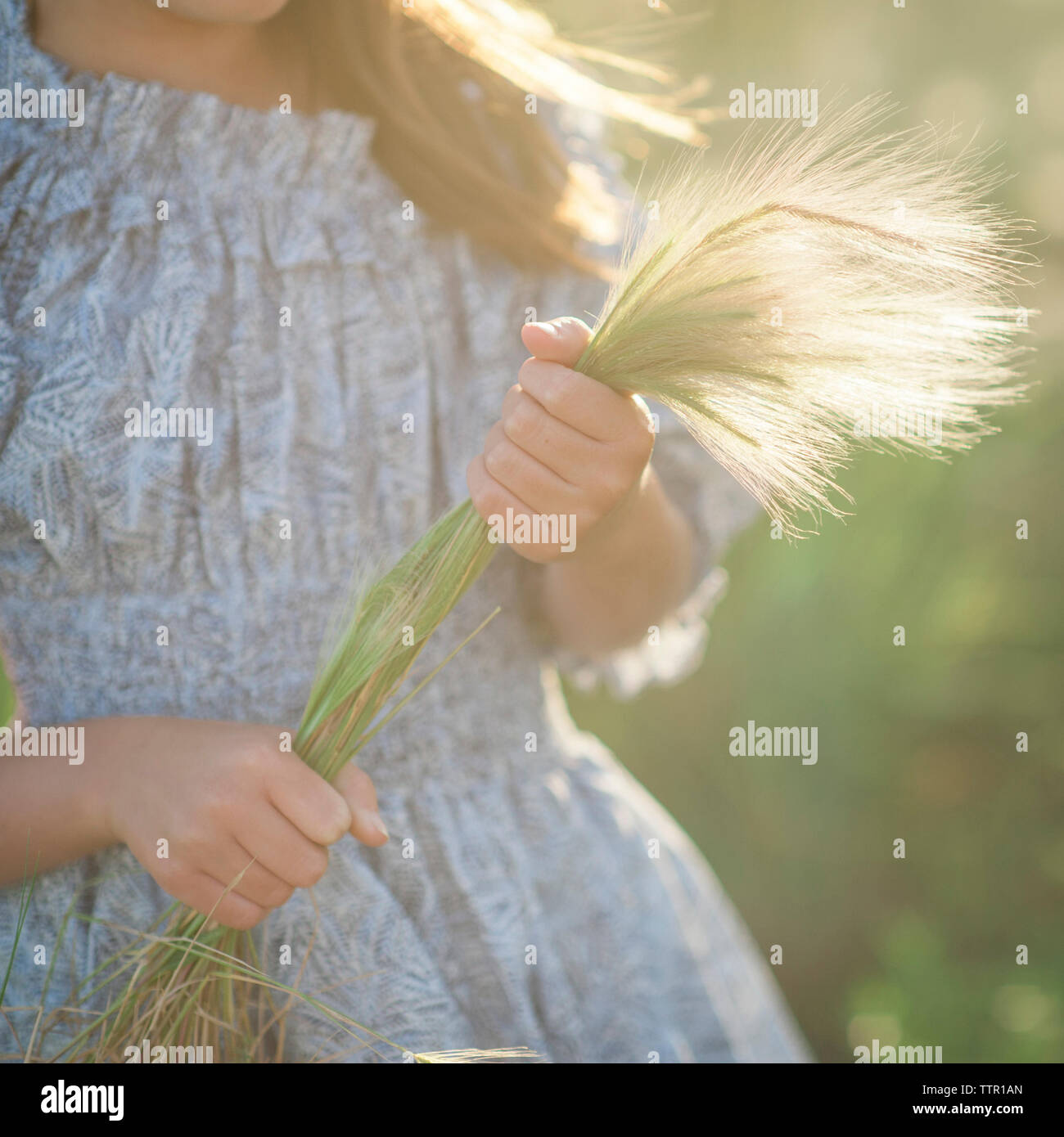 Grass girl hi-res stock photography and images - Alamy