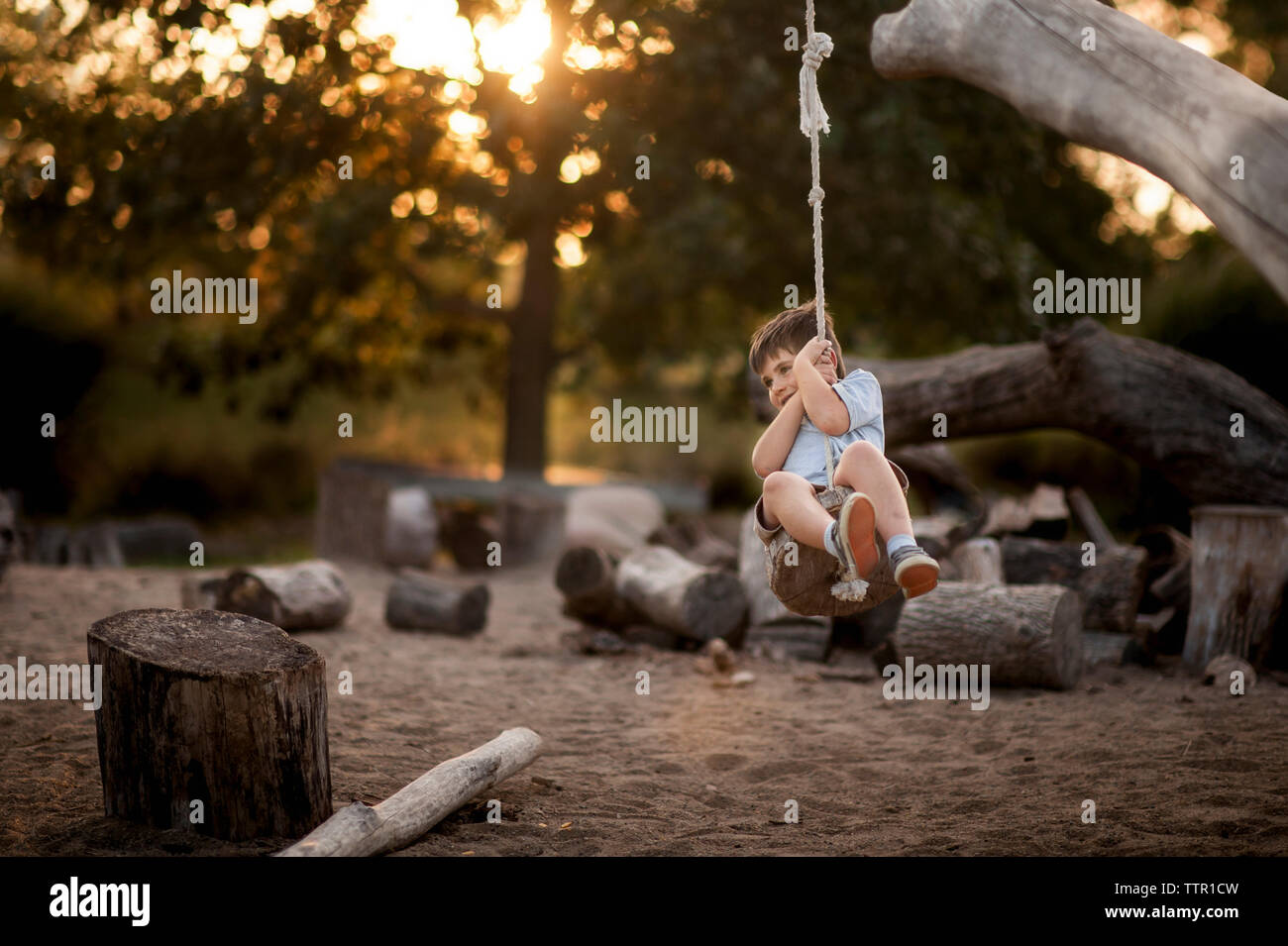 Boy on rope swing hi-res stock photography and images - Alamy