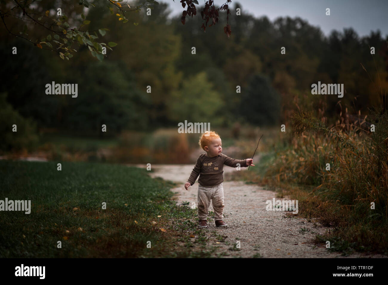 Baby boy holding stick while standing at park Stock Photo - Alamy