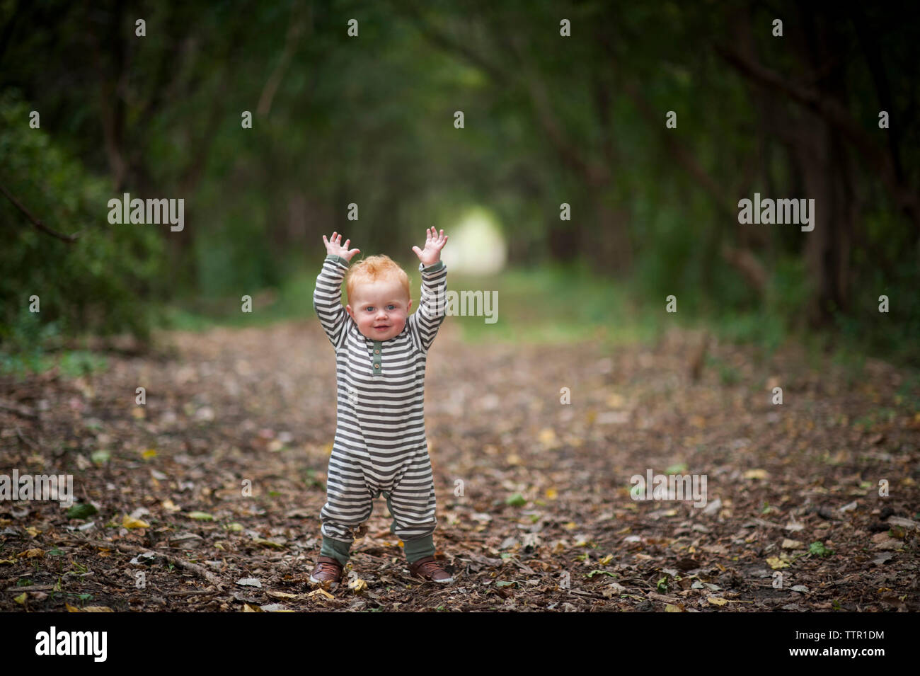 Raised park hi-res stock photography and images - Alamy
