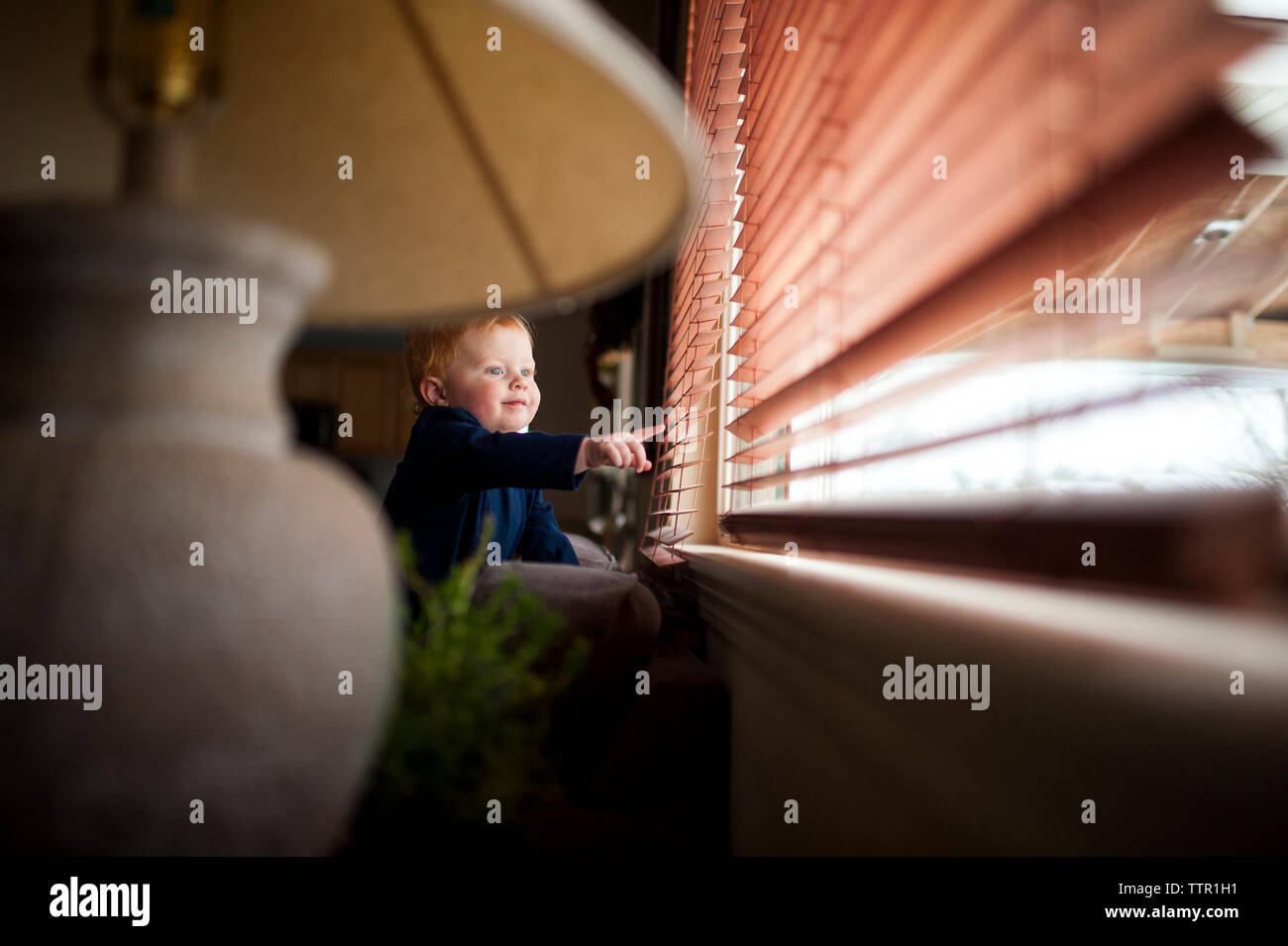 Baby boy playing with window blinds at home Stock Photo - Alamy