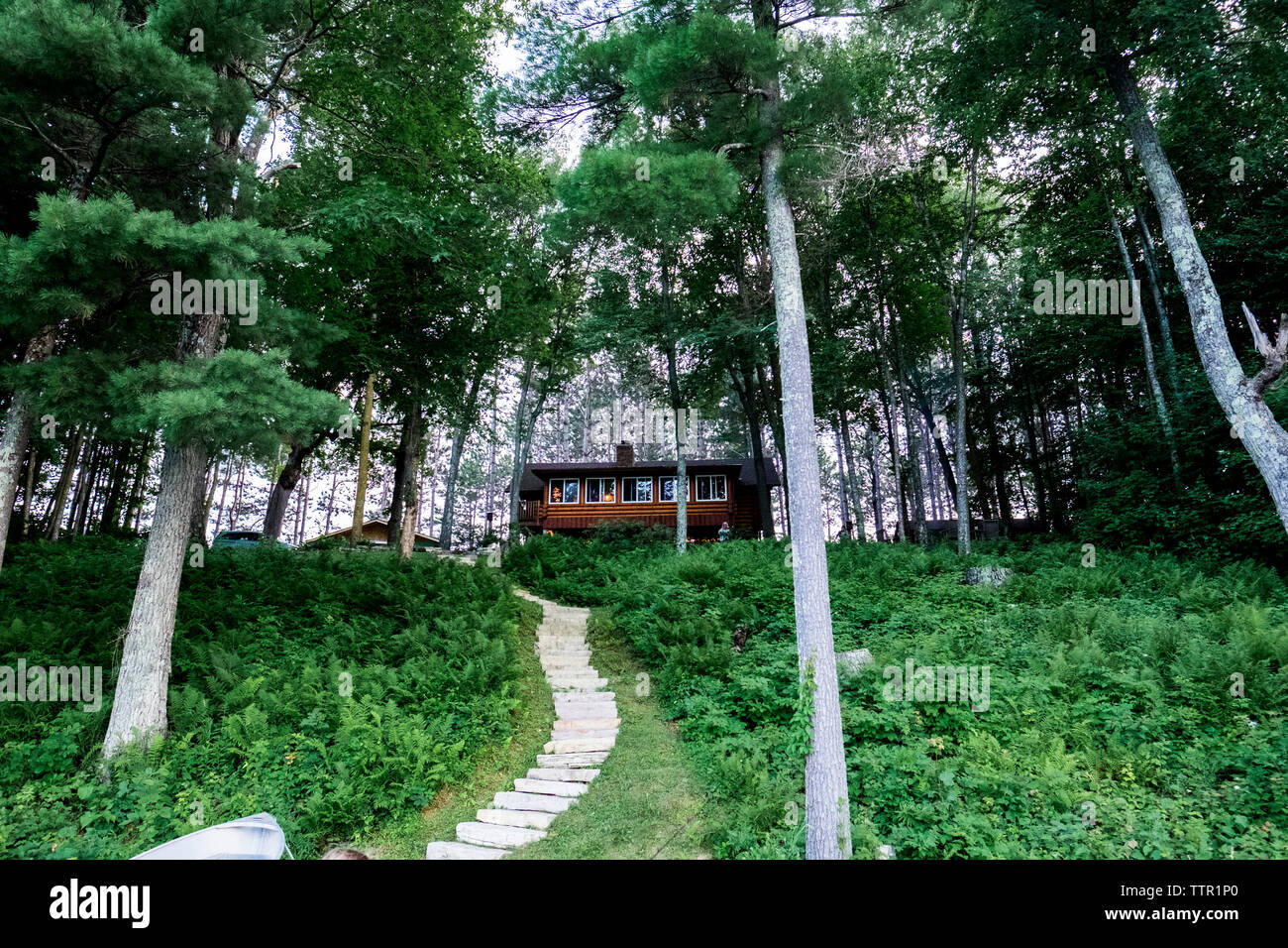 Log steps hi-res stock photography and images - Alamy