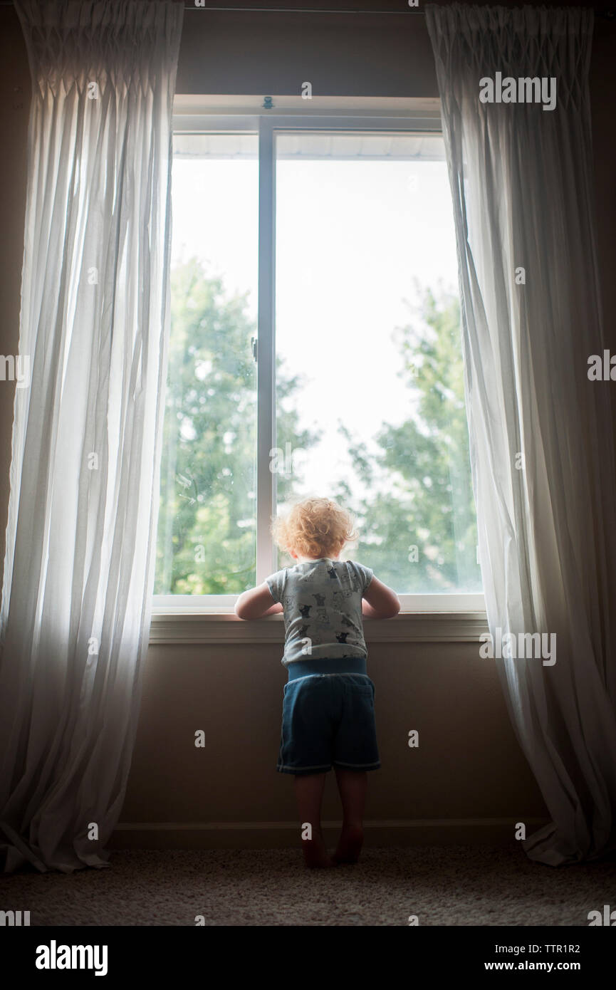 Rear view of baby boy looking through window at home Stock Photo - Alamy
