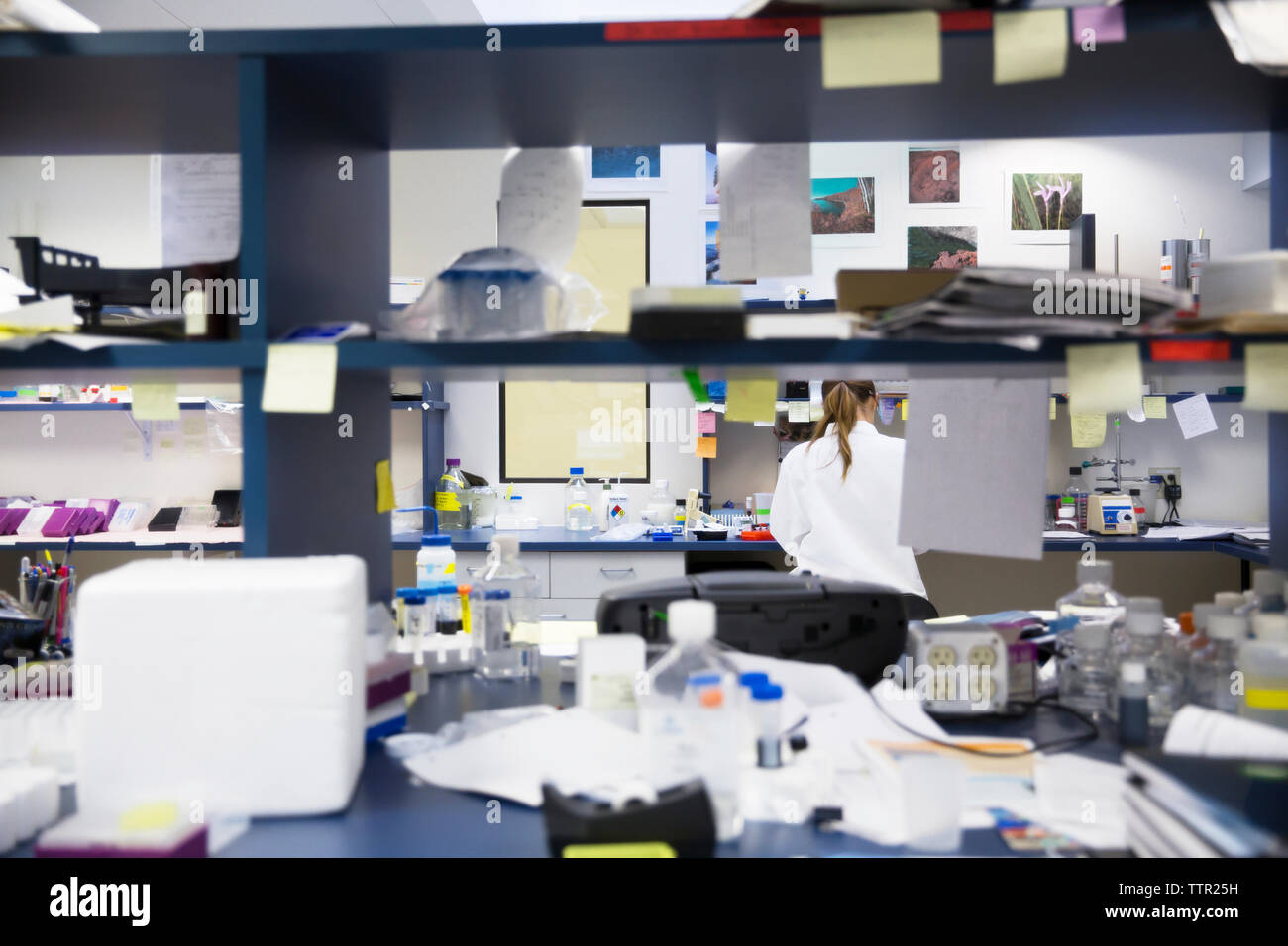 Asian female lab technician hi-res stock photography and images - Alamy