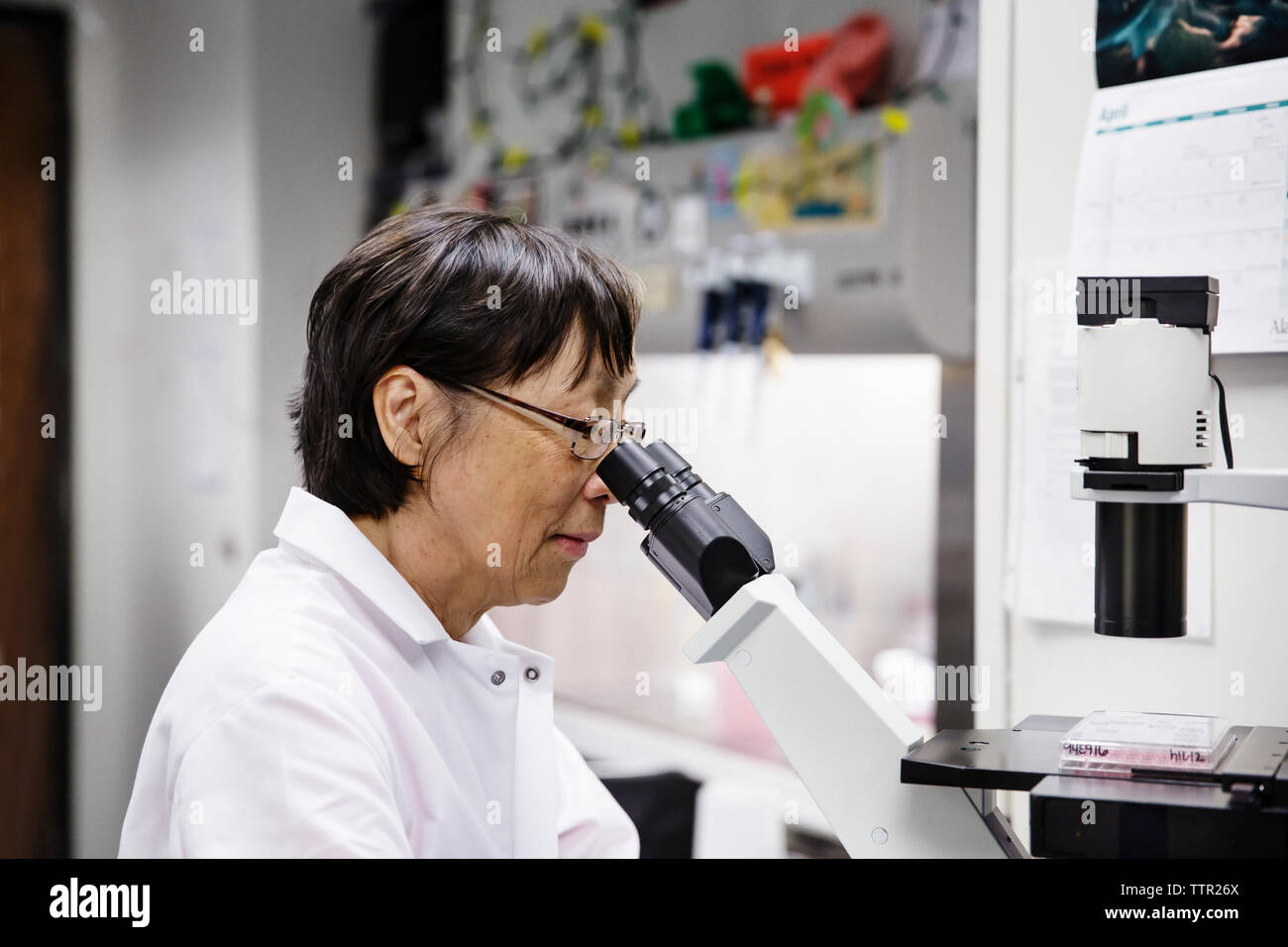 Old scientific microscope hi-res stock photography and images - Alamy