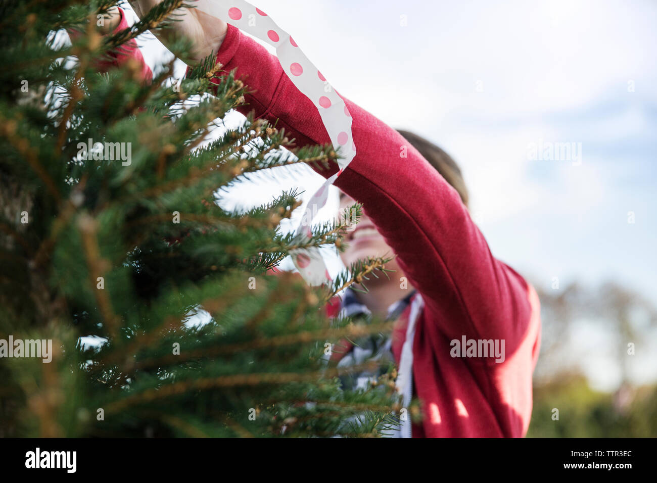 Ribbon of trees hi-res stock photography and images - Alamy