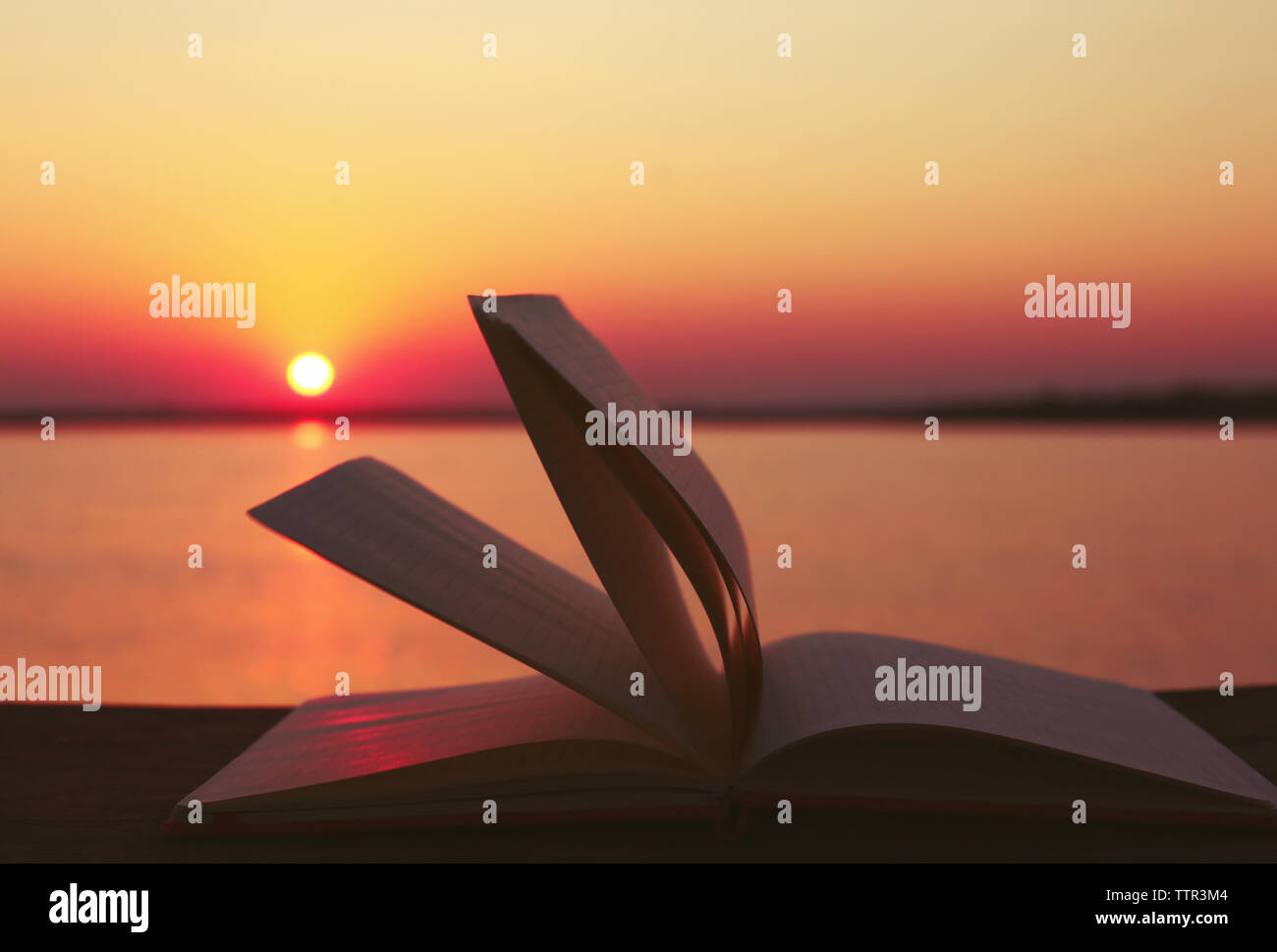 Opened book on sunset background Stock Photo - Alamy